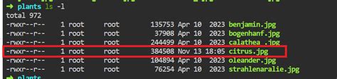 Plant Sensor Entity Picture Does Not Load Configuration Home