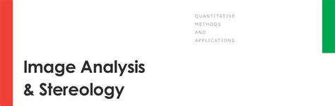 A Comparison Of Nonparametric Estimators For Length Distribution In