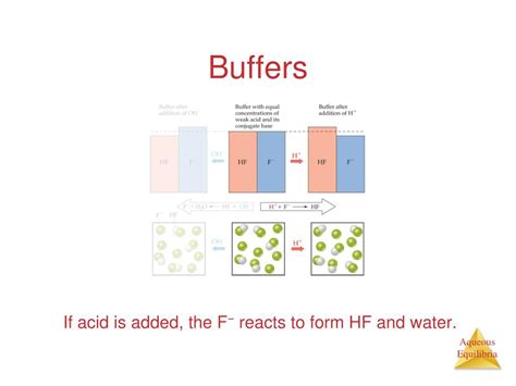 Ppt Bicarbonate Buffer System Powerpoint Presentation Free Download Id 1072204