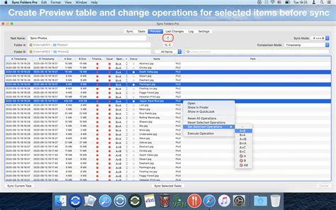 Greenworldsoft Sync Folders Pro Screenshots
