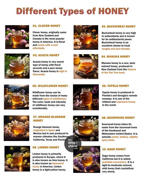 The Little Shine On Instagram Different Types Of Honey Types Of