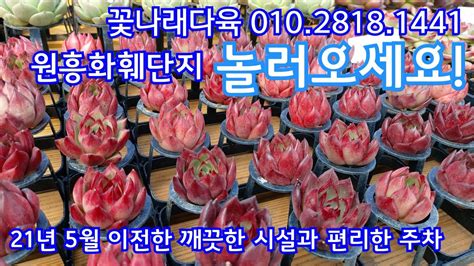 꽃나래다육으로 놀러 오세요~꽃나래다육 01028181441 21년 5월 이전으로 신축하우스로깨끗하고 주차시설 편리해요경기도 고양시 고양대로 1643번길 33 원흥화훼