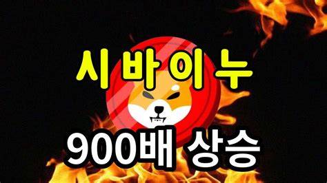 시바이누 코인 시바이누 코인 앞으로의 전망 폭등시나리오 시바이누 시바이누코인 일론머스크 코인 코인전망 Youtube