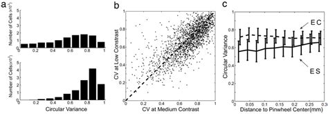 6 Orientation Selectivity Of Model Excitatory Cellsa Histogram Of