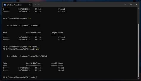 Iniciando Com O Terminal Do Windows