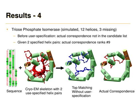 Ppt Shape Modeling And Matching In Protein Structure Identification