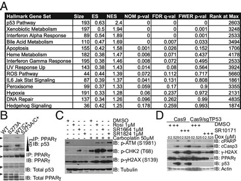 A Table From Gsea Of The Microarray Gene Expression Data Generated