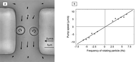 A Measured Flow Field Mapped While Fluid Is Being Pumped B Fluid Download Scientific