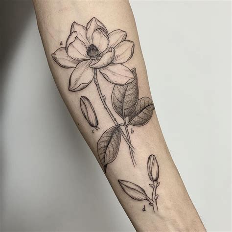 Botanical Illustration Tattoo