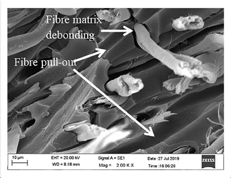 Scanning Electron Microscope Image Of Izod Impact Fractured Specimen Download Scientific Diagram