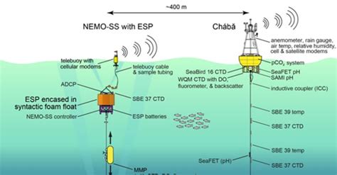 Causes Of Habs And Toxicity Nccos Coastal Science Website