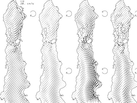 Residual Currents For The Surface Layer 0 10 M From The 3d Model Of Download High
