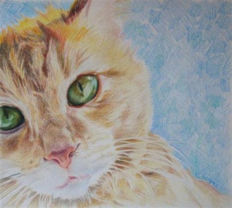 Katrina Wissinger Hoopes A Visual Diary