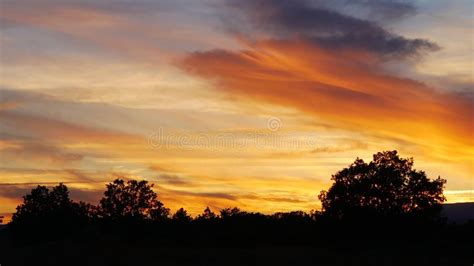 Majestic African Sunset With Tree Shadow Golden And Fiery Sky Stock