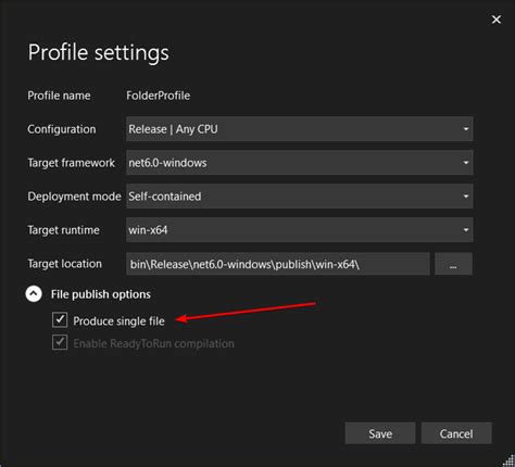 Publishing As Single File Results In Path Exception · Issue 23
