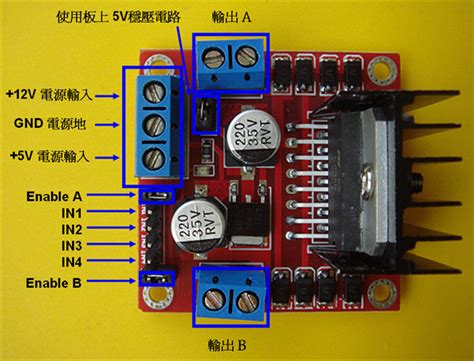 Bugworkshop Diy L N