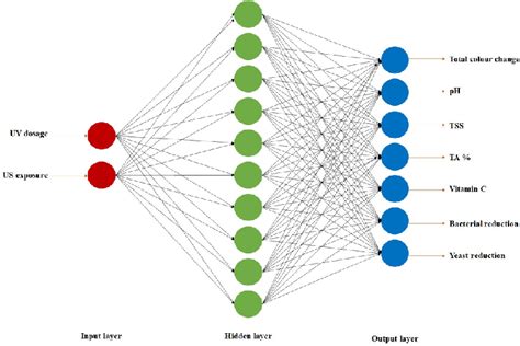 configuration of multilayer ann model with two input neurons ten