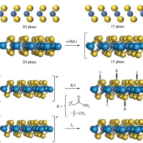 Metal Coordinate Top View And Stacking Sequence Of Tmd Structure