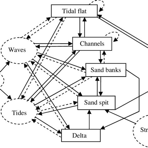 Boolean Network For The Exe Estuary Download Scientific Diagram