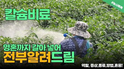칼슘비료의모든것 Youtube