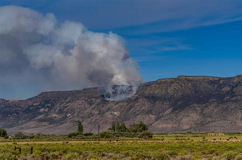 Kerry Terrel Photographer And Beach Bum