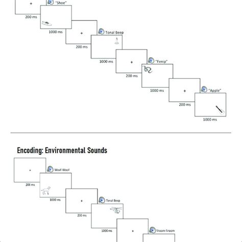 Pdf Cross Modal Interaction Between Auditory And Visual Input Impacts