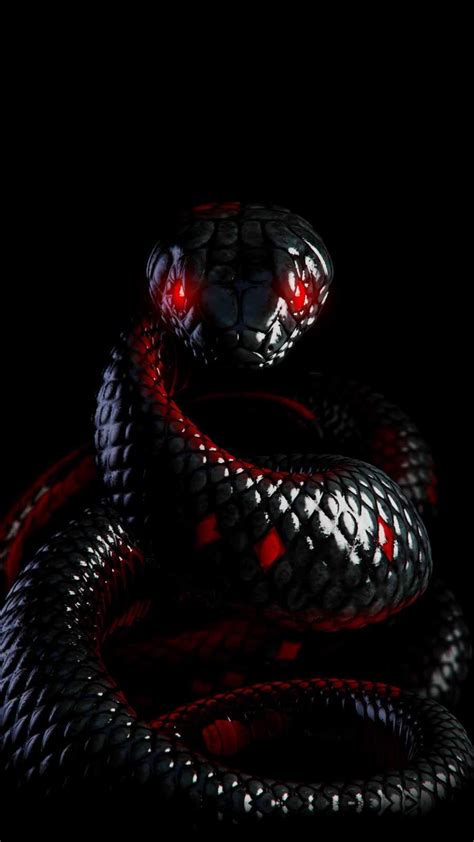 Black Cobra Wallpapers Top Free Black Cobra Backgrounds Wallpaperaccess