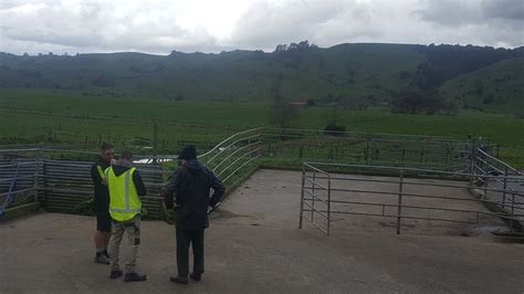 Dairy Effluent Advice Design Precise Dairy Effluent NZ