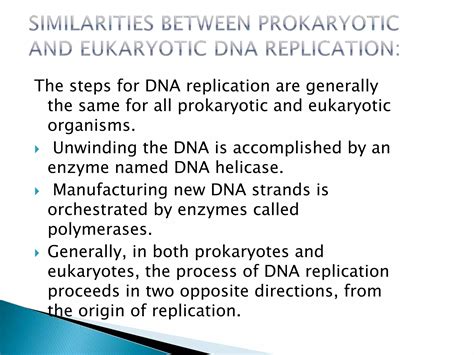 Replication In Eukaryotes And Prokaryotes Pptx Biological Sciences Science