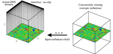 Colour Online Schematic Of The Computational Domains Download Scientific Diagram
