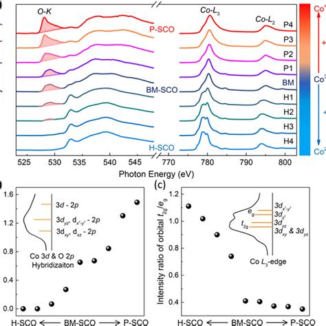 Characterization Of The Structural Phase Transformation Phase