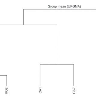 Cluster Analysis With The Unweighted Pair Group Method With Arithmetic Download Scientific