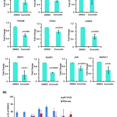Validation Of Our Rna Seq Data With Qrt Pcr A The Expression Of