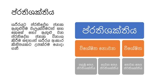 ප්‍රතිශක්තිය හා ප්‍රතිශක්තිකරණය Pptx