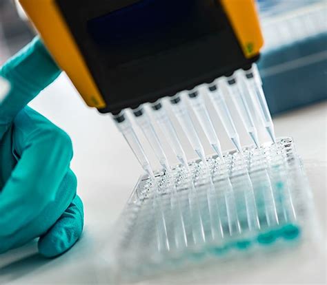 Constrained Peptide Drugs Market Size Share And Trends Analysis Report