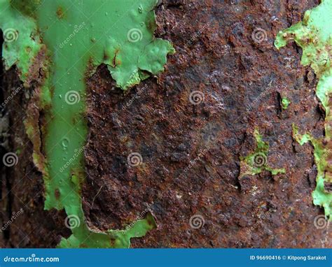 Rust On Steel Columns Stock Photo Image Of Muddy Flake