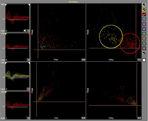 Tetrode Spike Sorting Synapse Manual