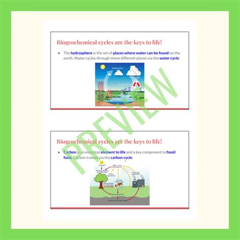 Ecosystems Full Chapter Guided Notes By Corines Classroom Tpt