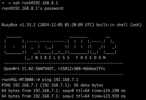 Custom Vpn Policy To Route Subnet Ips To Vpn Vpn Dns Leaks Gl Inet