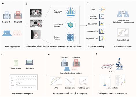Development And Validation Of A Computed Tomography Based Radiomics Nomogram For The