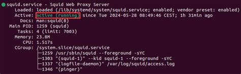 how to install and configure squid proxy on ubuntu