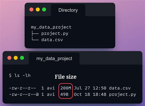 You Cannot Build Large Data Projects Until You Learn Data Version Control