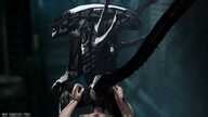 Post Alien Animated Cavafly Webm Xenomorph