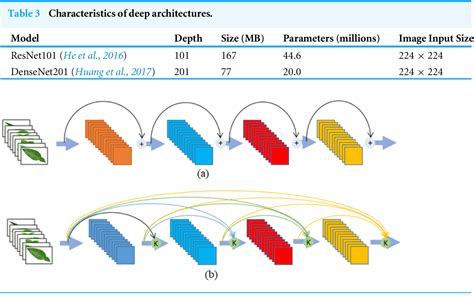 Table From A Multi Division Convolutional Neural Network Based Plant Identification System