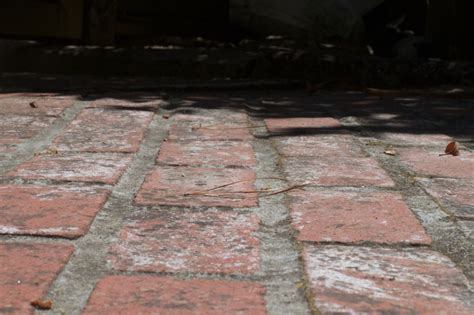 무료 이미지 바닥 지붕 조약돌 아스팔트 흙 자료 벽돌 세공 차도 노면 옥외 구조물 판석 2061x1371 227579 무료 이미지 Pxhere