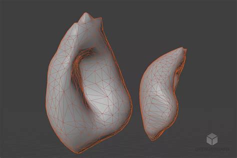Мультяшное волчье ухо Бесплатная 3d модель - .Blend, .C4d, .Dae, .Fbx ...