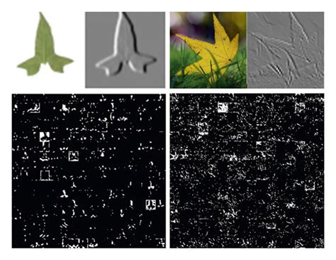 some examples of feature maps and convolutional kernel a two