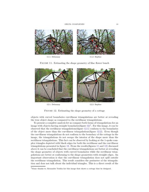 Delta Complexes In Digital Images Approximating Image Object Shapes Deepai