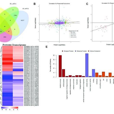 The Correlation Analyses Transcriptomes And Proteomes Of Maize And Download Scientific