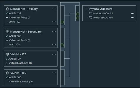 Seeking Advice On Proper Networking Setup For Esxi Host
